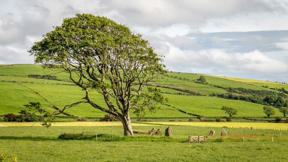 Isle of Bute: Die schönsten Sehenswürdigkeiten und wichtigsten Infos