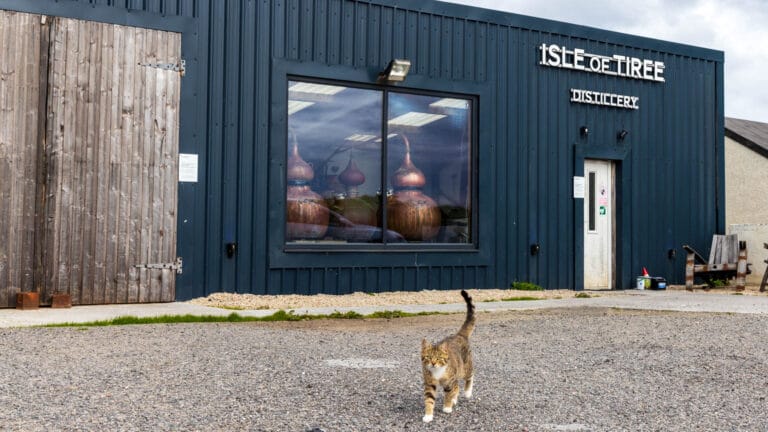Tiree: Sehenswürdigkeiten, Aktivitäten, Beste Reisezeit