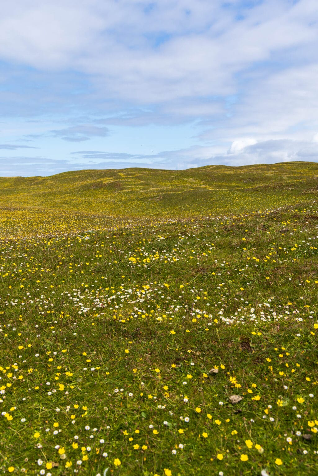 Tiree: attractions, activities, best time to visit