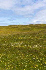 Tiree: attractions, activities, best time to visit