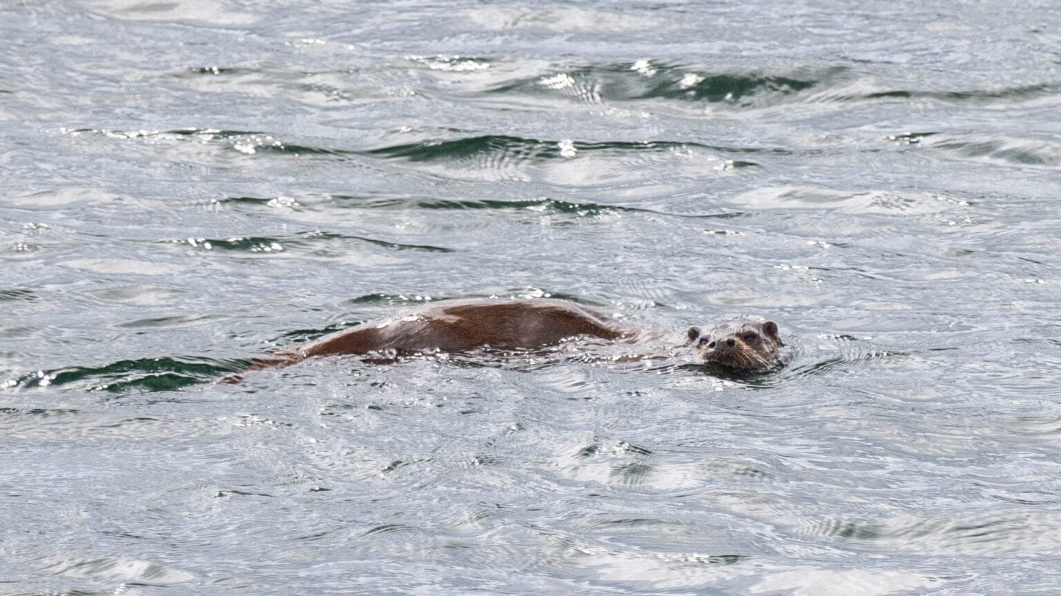Isle of Mull: Sehenswürdigkeiten, Ausflüge, Aktivitäten