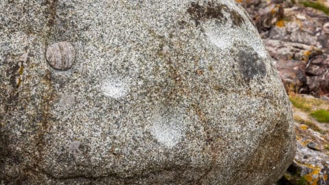 The Ringing Stone - der singende Stein auf Tiree