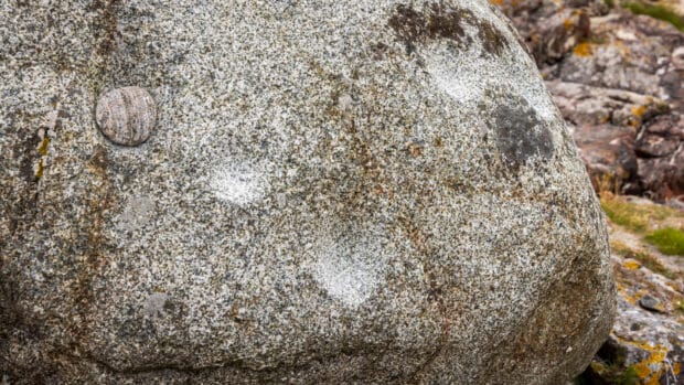 The Ringing Stone - der singende Stein auf Tiree