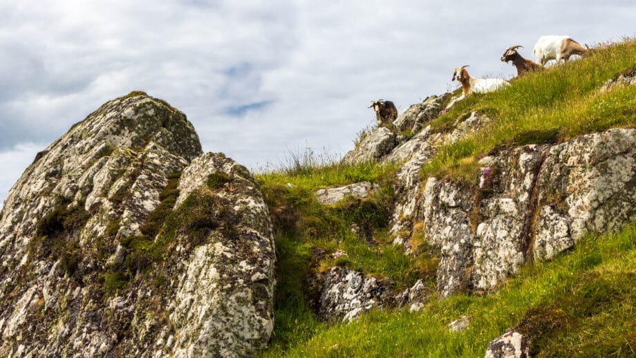 The Ringing Stone - der singende Stein auf Tiree