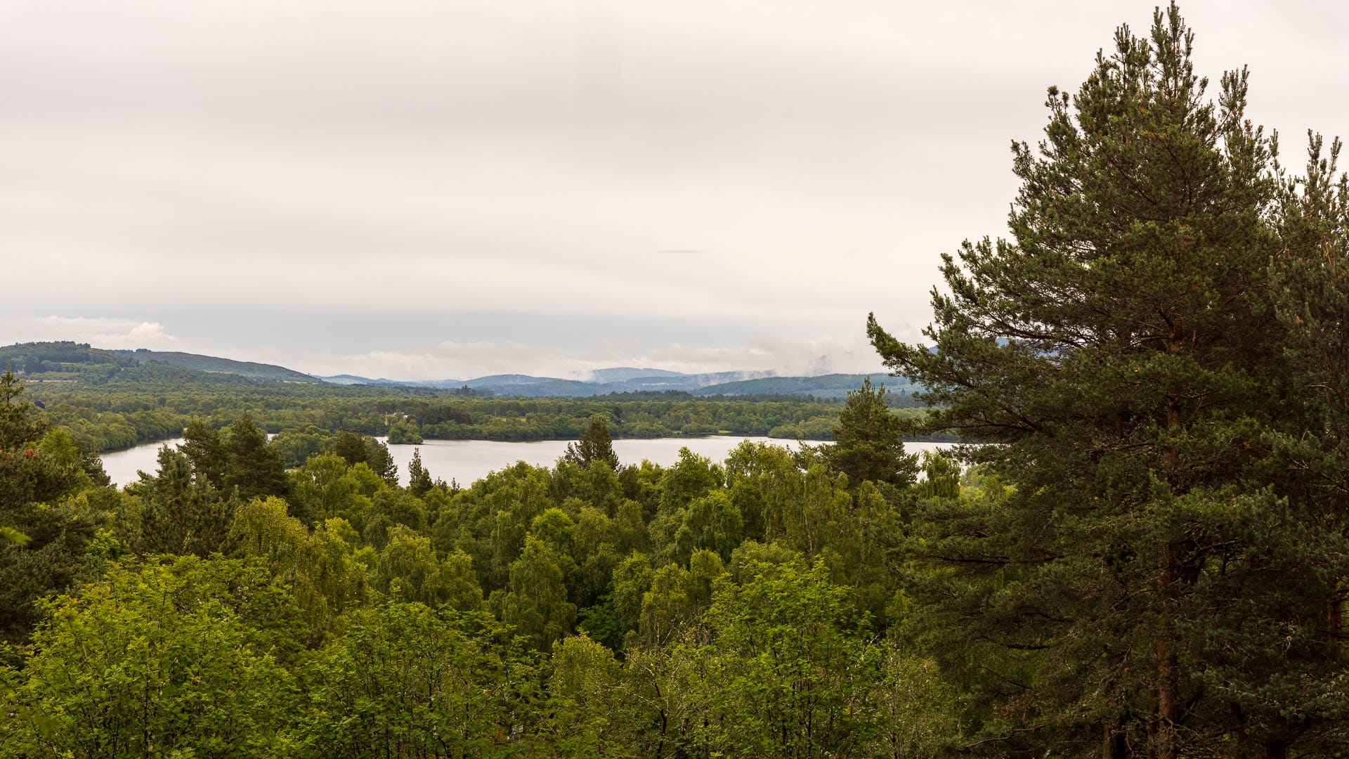 Muir of Dinnet und Burn o' Vat - Wanderung durch die Jahrtausende
